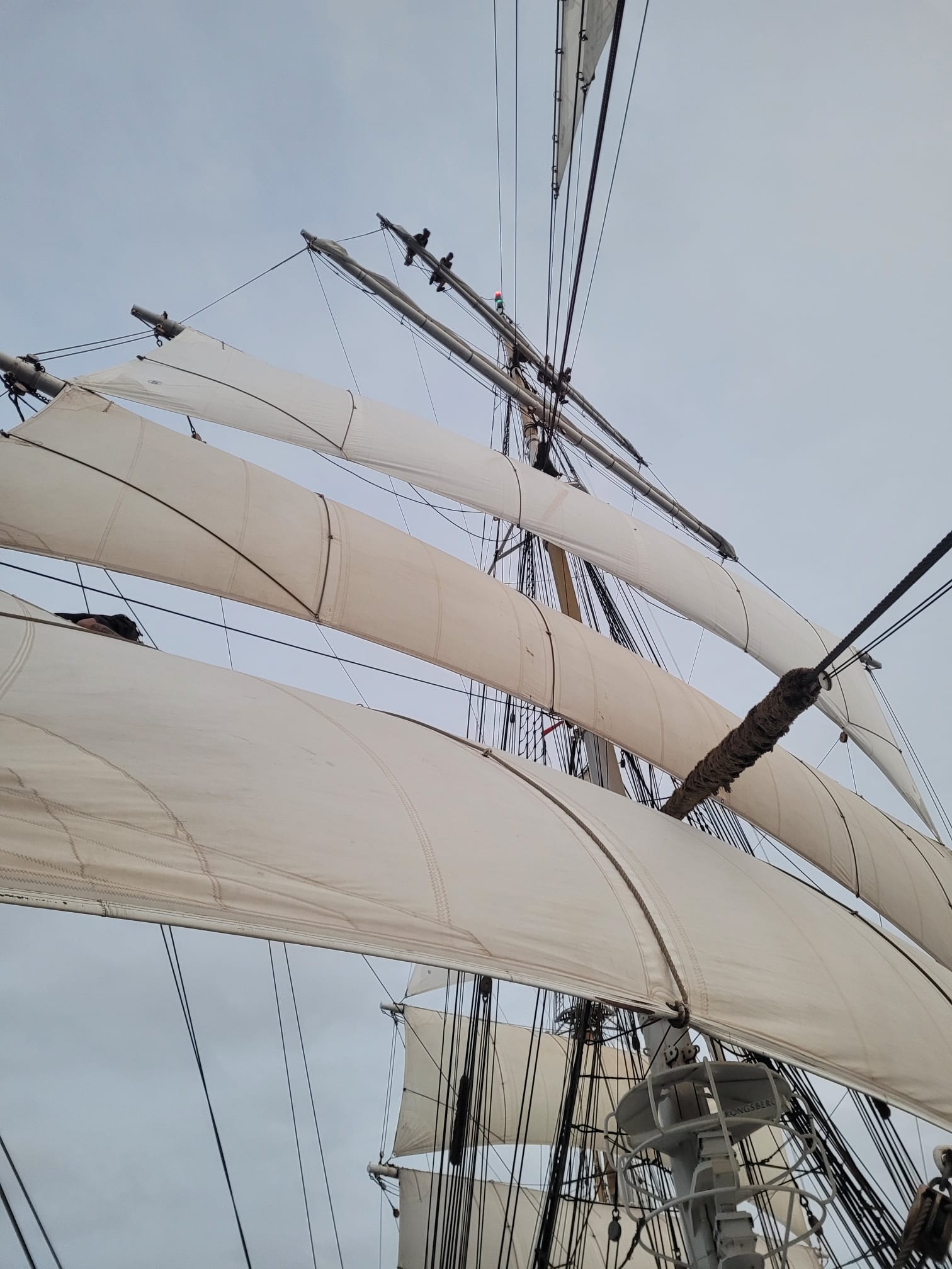 Purjelaivalla Karibianmerelle – Upseeriksi